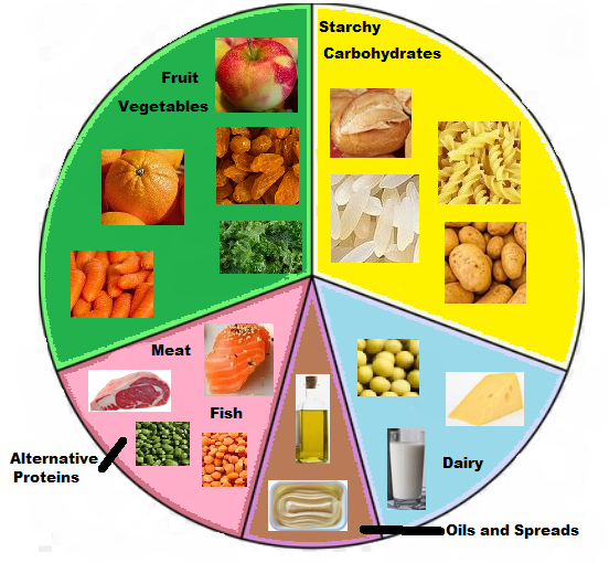 The Eatwell Guide - Food Preparation – Revision World The Eatwell Guide - Food Preparation – Revision World